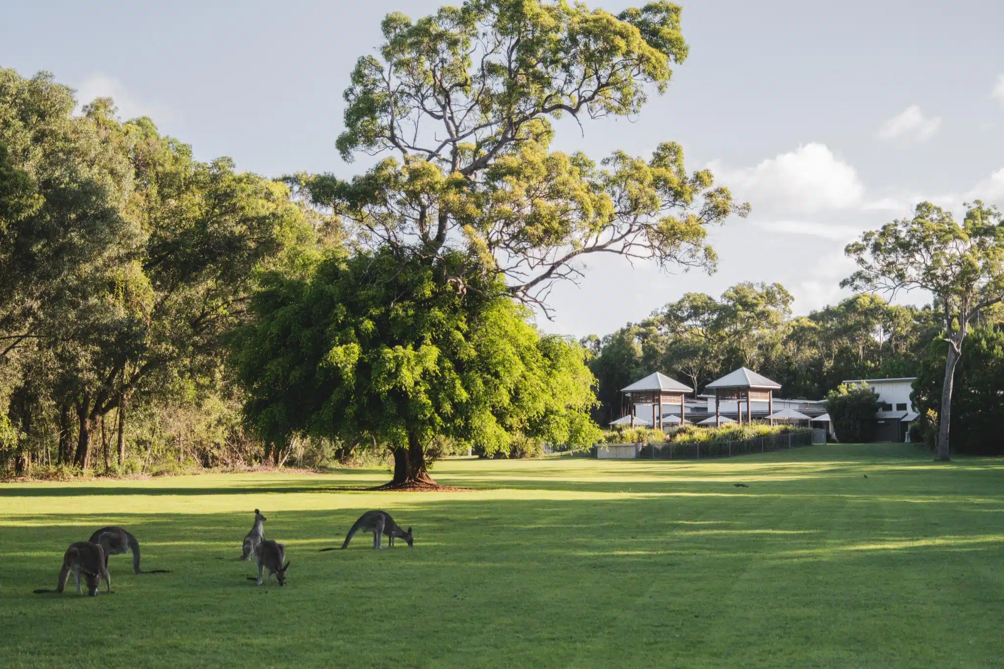 Specials & Packages - Senses Noosa North Shore